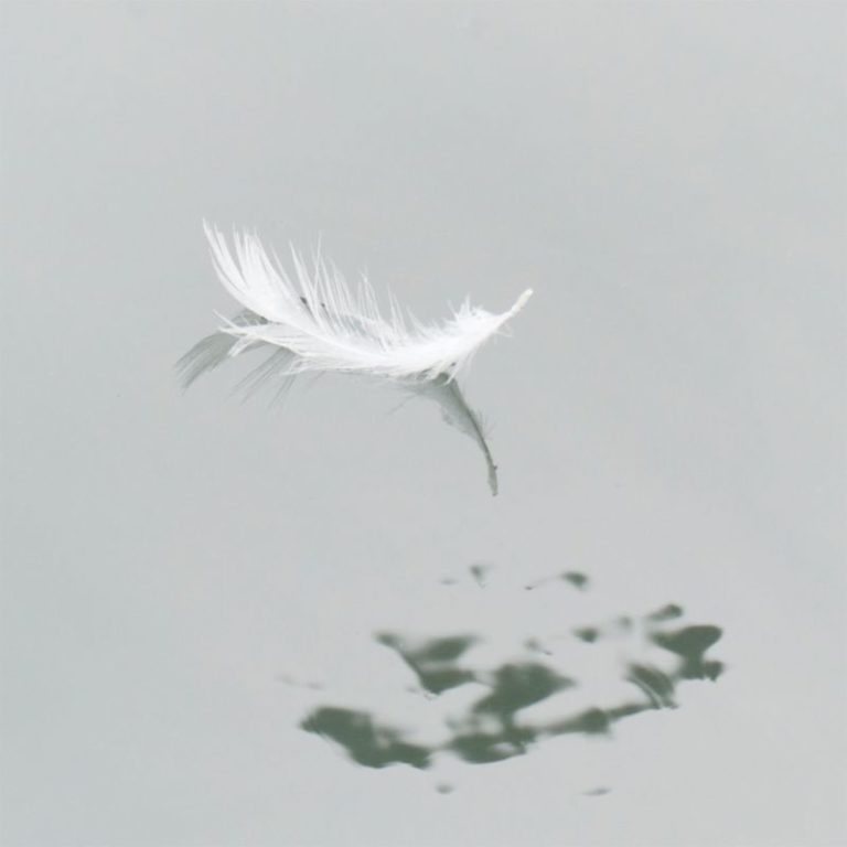 Exhibitions – San Francisco Women Artists